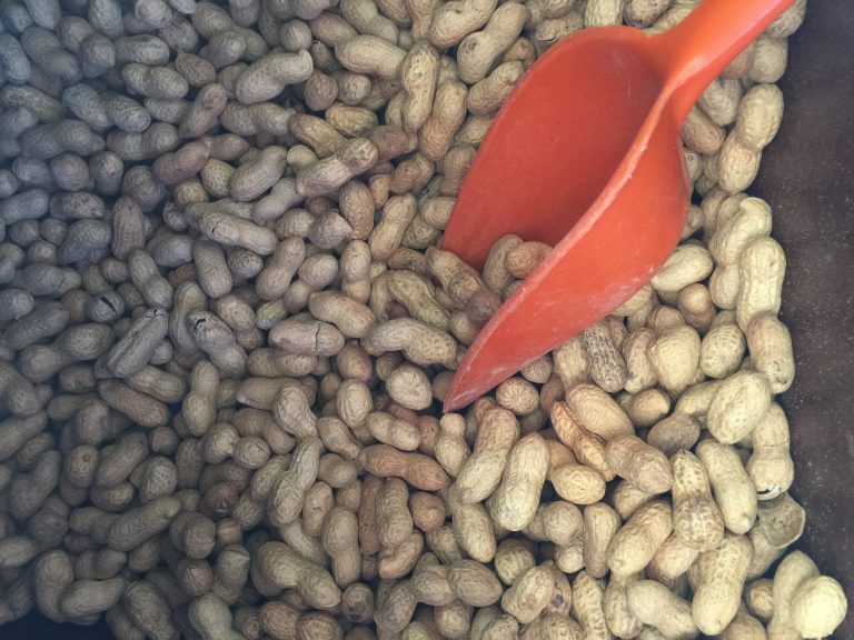 12 Propiedades Y Beneficios Del Maní Para La Salud