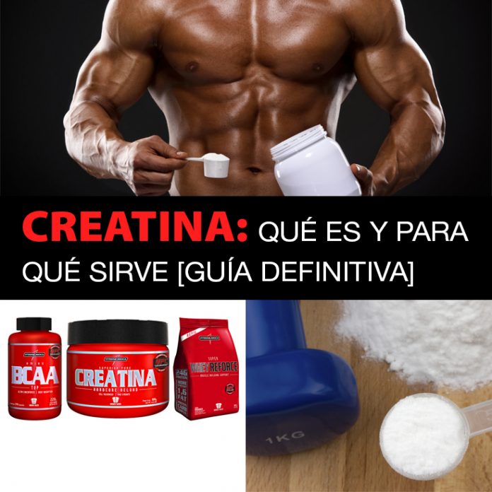 Creatina: qué es, para qué sirve y cómo funciona - [guía definitiva ...