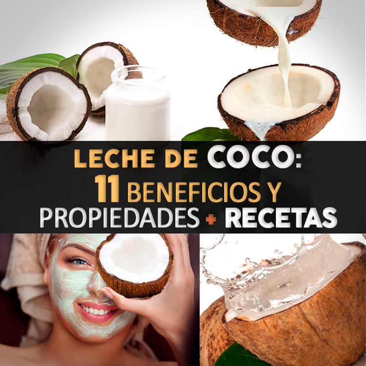 Leche de coco: 11 beneficios y propiedades + recetas - La Guía de las ...