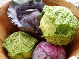 Dieta de la sopa de repollo para bajar de peso en 7 días - La Guía de ...