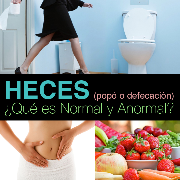 Heces (popó o defecación): ¿qué es normal y anormal? - La Guía de las ...