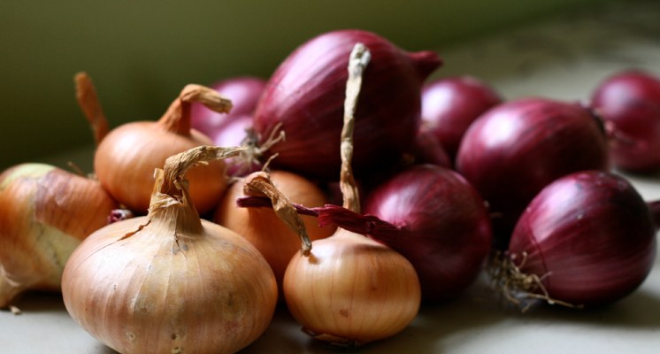 Cebolla: beneficios, propiedades y datos nutricionales - La Guía de las ...