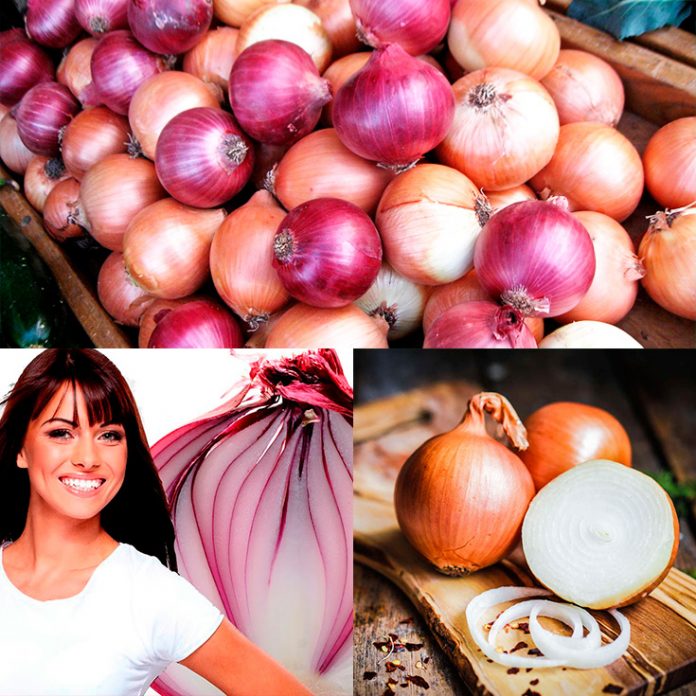 Cebolla: beneficios, propiedades y datos nutricionales - La Guía de las ...