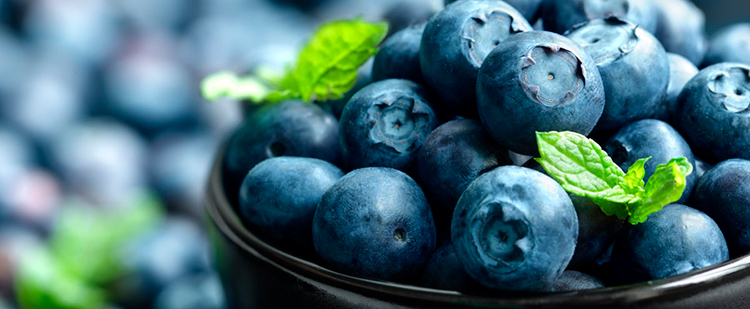 Arandanos-azules | La Guía de las Vitaminas