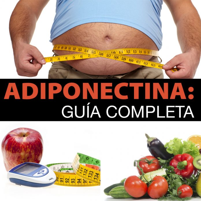 Adiponectina: ¿Qué es la adiponectina? - guía definitiva - La Guía de ...