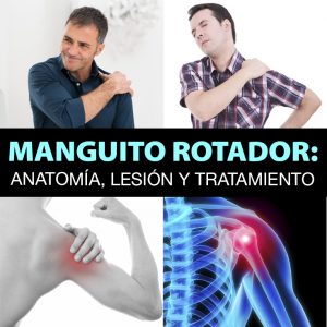 Manguito rotador: anatomía, lesión y tratamiento - La Guía de las Vitaminas