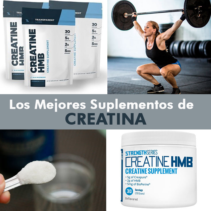 Los mejores suplementos de creatina en el 2018 - La Guía de las Vitaminas