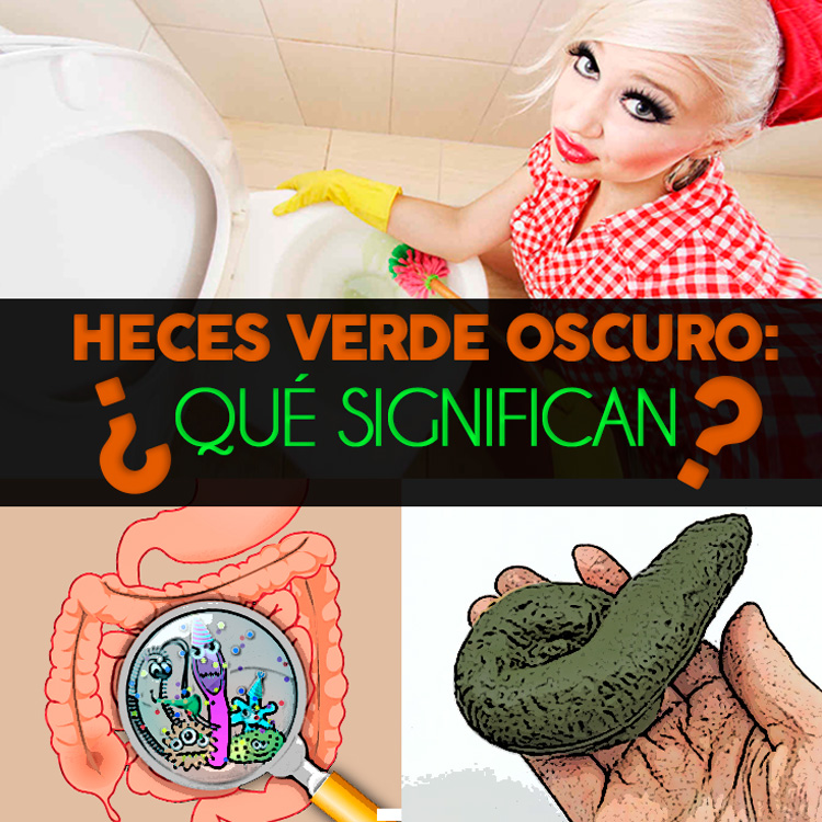 Heces verdes oscuras: causas y qué hacer - La Guía de las Vitaminas