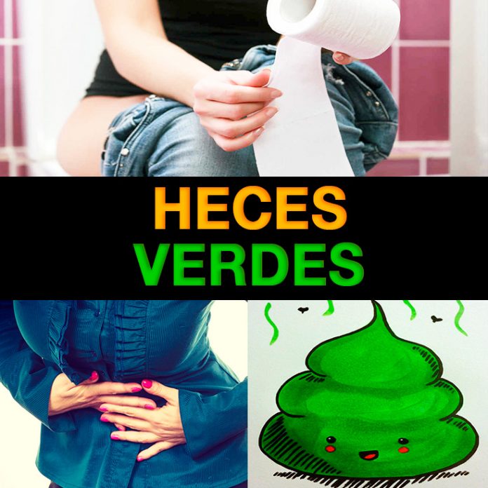 Heces verdes: qué te están diciendo de tu salud - La Guía de las Vitaminas