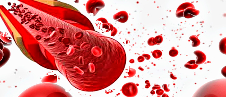 10 alimentos para subir las plaquetas que saben delicioso - La Guía de ...