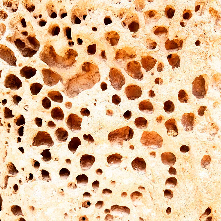 Tripofobia: qué es, causas, síntomas y tratamiento - La Guía de las ...