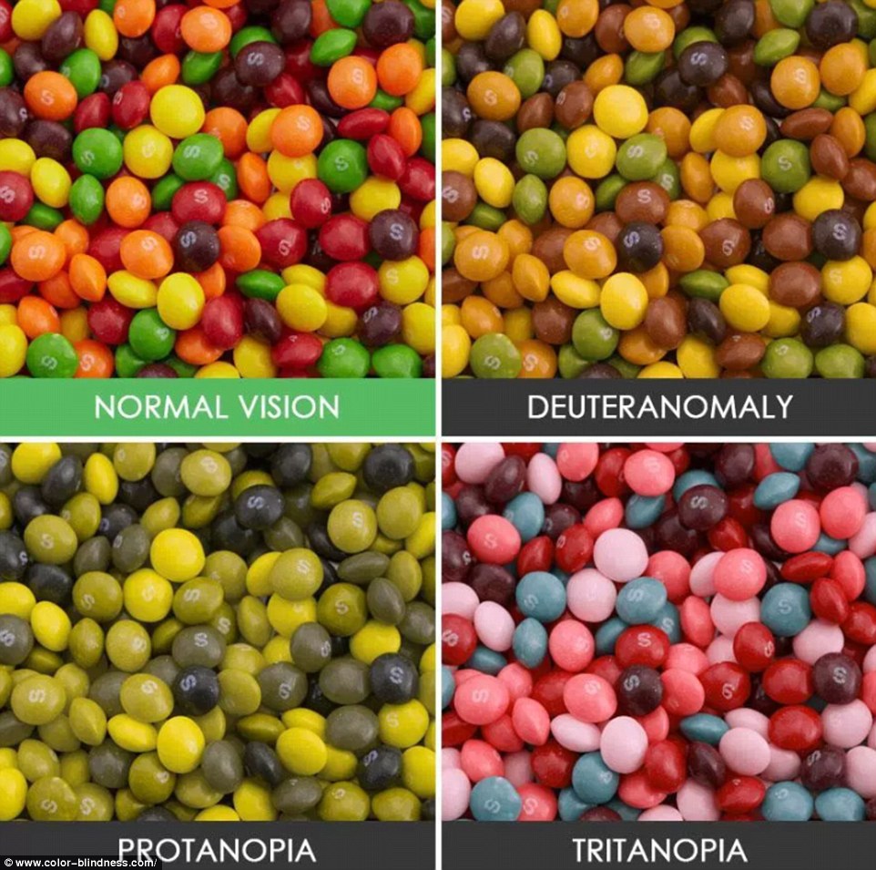 Cómo ven los daltónicos: así es como miran el mundo - La Guía de las ...