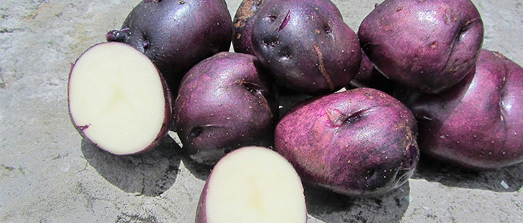Dieta para la presión alta y alimentos para bajar la presión - La Guía ...