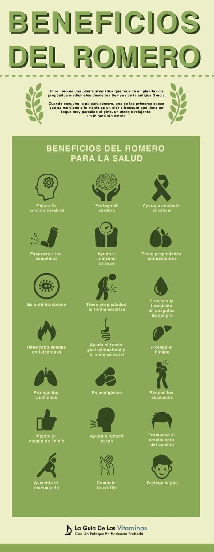 Romero: Para Qué Sirve, 21 Beneficios Y Efectos Secundarios - La Guía de las Vitaminas