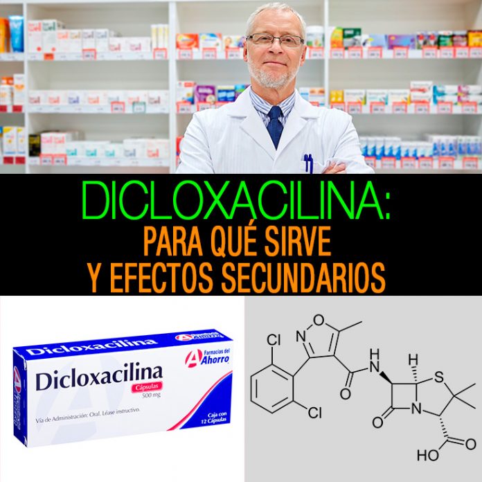 Dicloxacilina: para qué sirve, dosis y efectos secundarios - La Guía de ...
