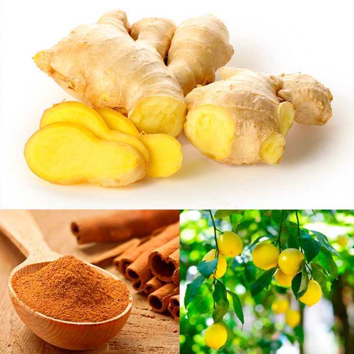 Remedio de jengibre con canela y limón: para qué sirve y beneficios ...