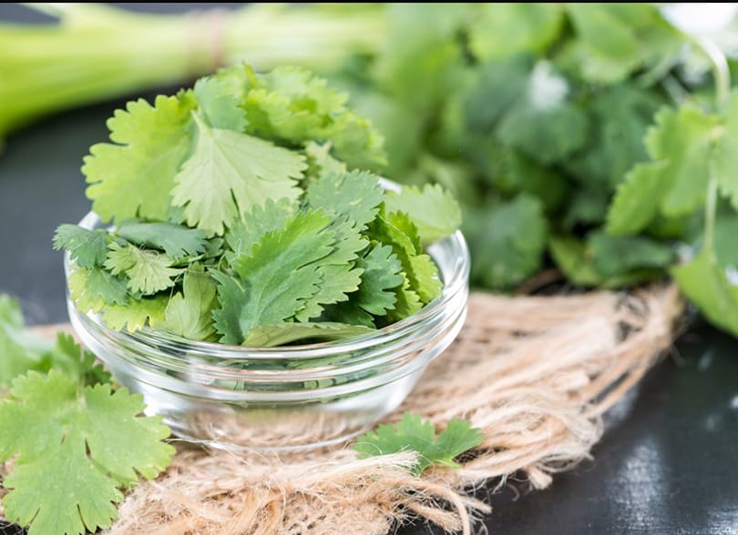 Usos y beneficios del cilantro en la cocina_ | La Guía de las Vitaminas