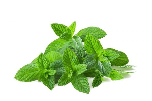 ¿Cuál es la diferencia entre la menta y la hierbabuena? ¿Son lo mismo ...