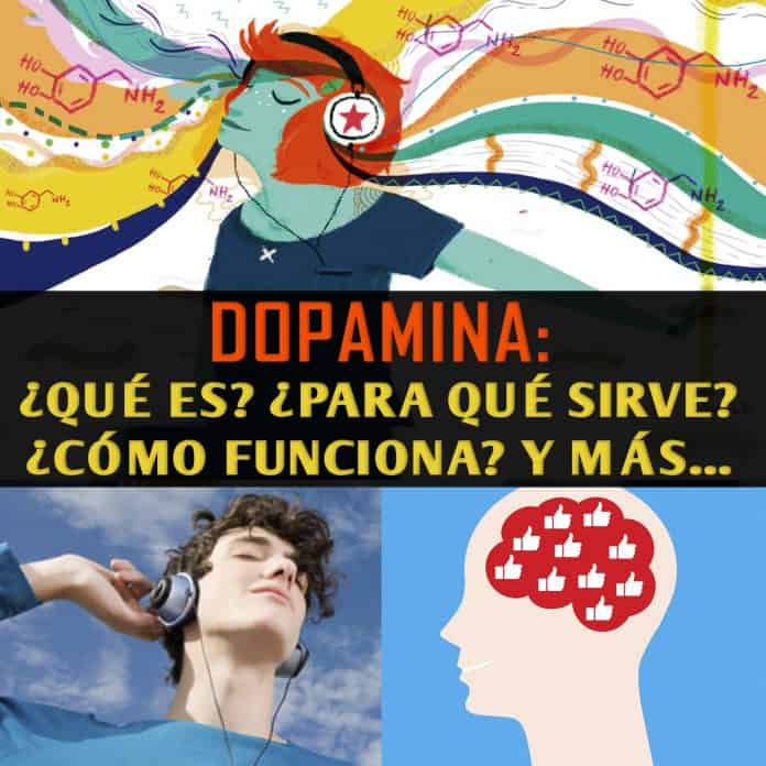 Dopamina: qué es, para qué sirve, cómo funciona y cómo te afecta - La Guía de las Vitaminas