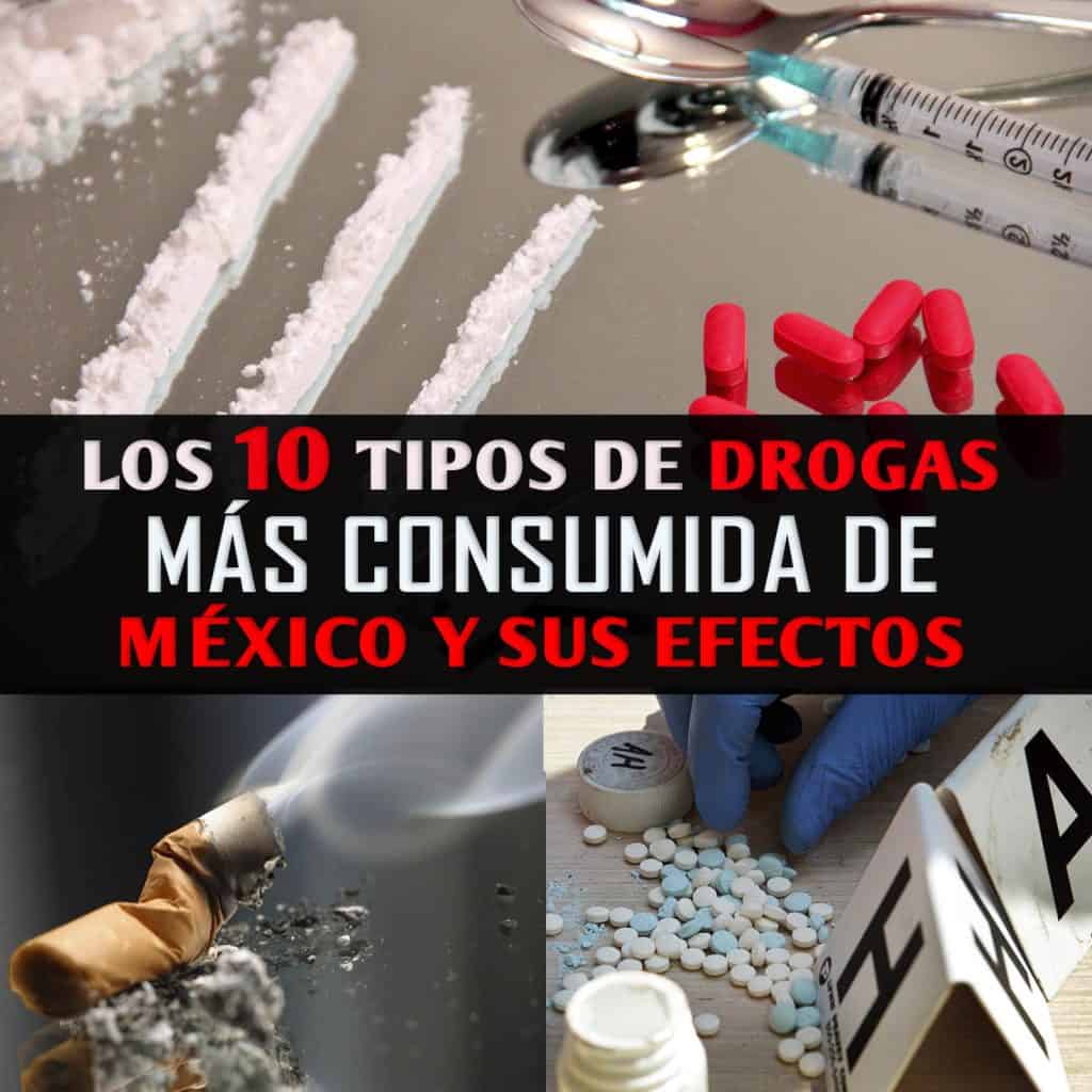 Los 10 tipos de drogas más consumidas en méXico y sus efectos - La Guía de las Vitaminas