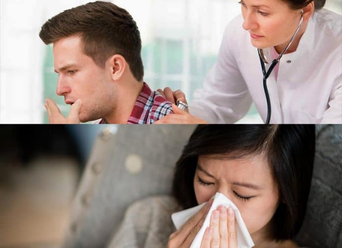 Flema verde, amarilla o café: ¿Qué significa los diferentes tipos de ...