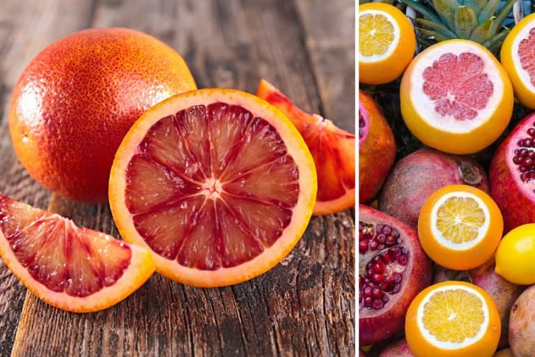 10 beneficios y propiedades de la toronja, + efectos secundarios - La ...