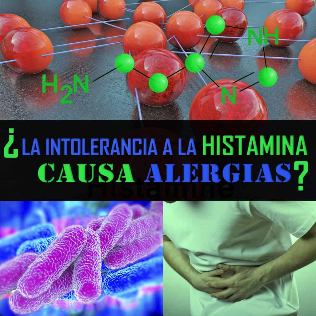 ¿La intolerancia a la histamina causa alergias? - La Guía de las Vitaminas