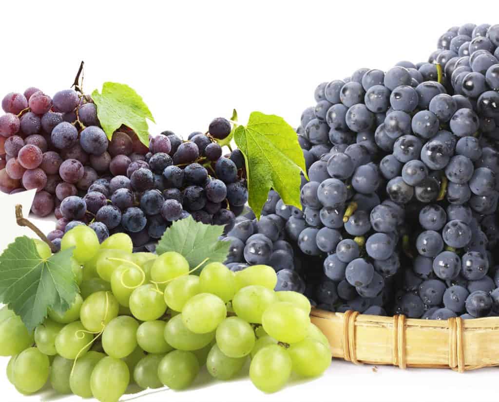 Uvas: beneficios, datos nutrimentales, peligros y receta - La Guía de ...