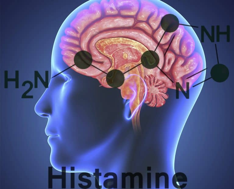 ¿La intolerancia a la histamina causa alergias? - La Guía de las Vitaminas