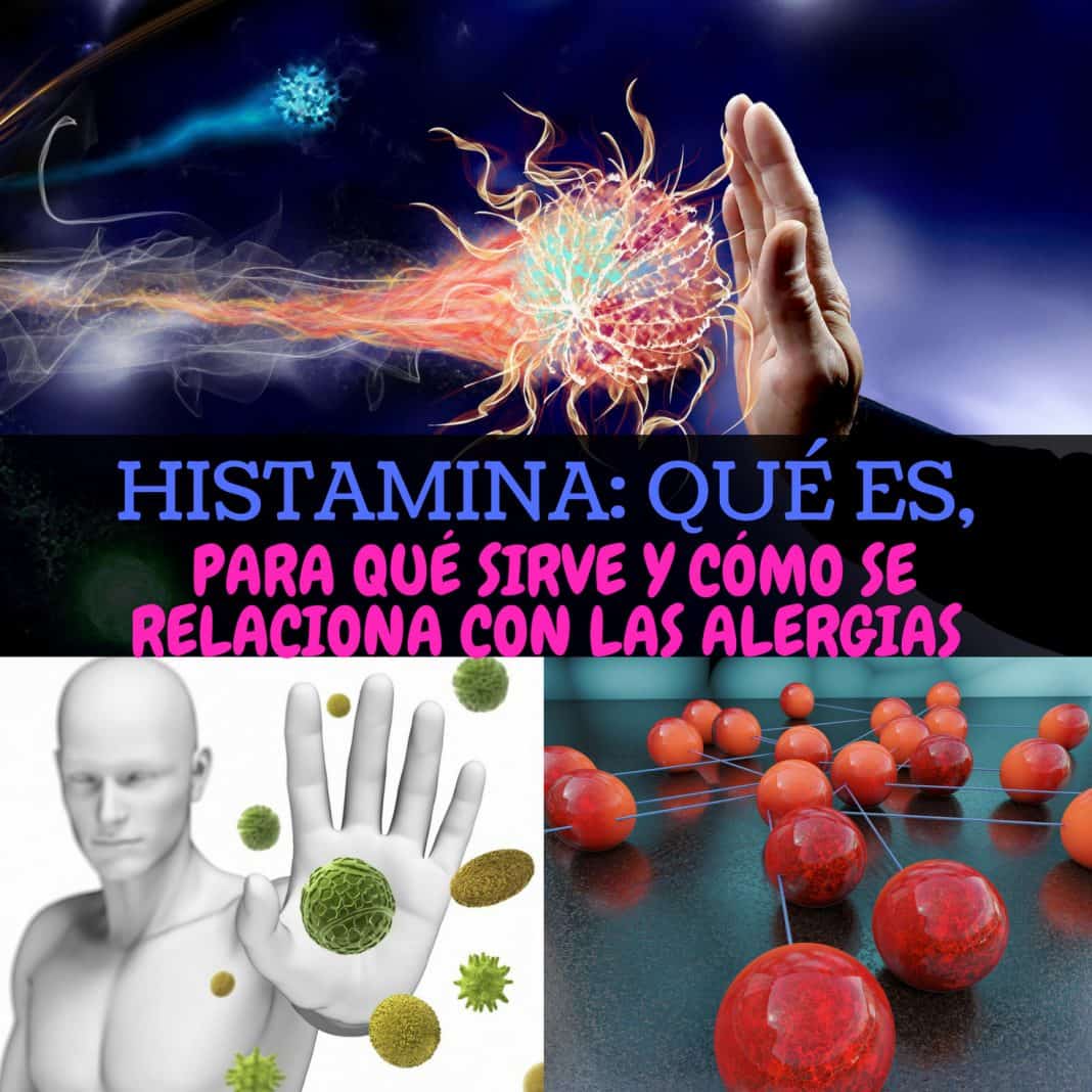 Histamina: qué es, para qué sirve y cómo se relaciona con las alergias ...