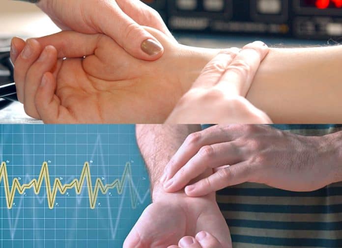 Cómo tomar el pulso de forma correcta - La Guía de las Vitaminas