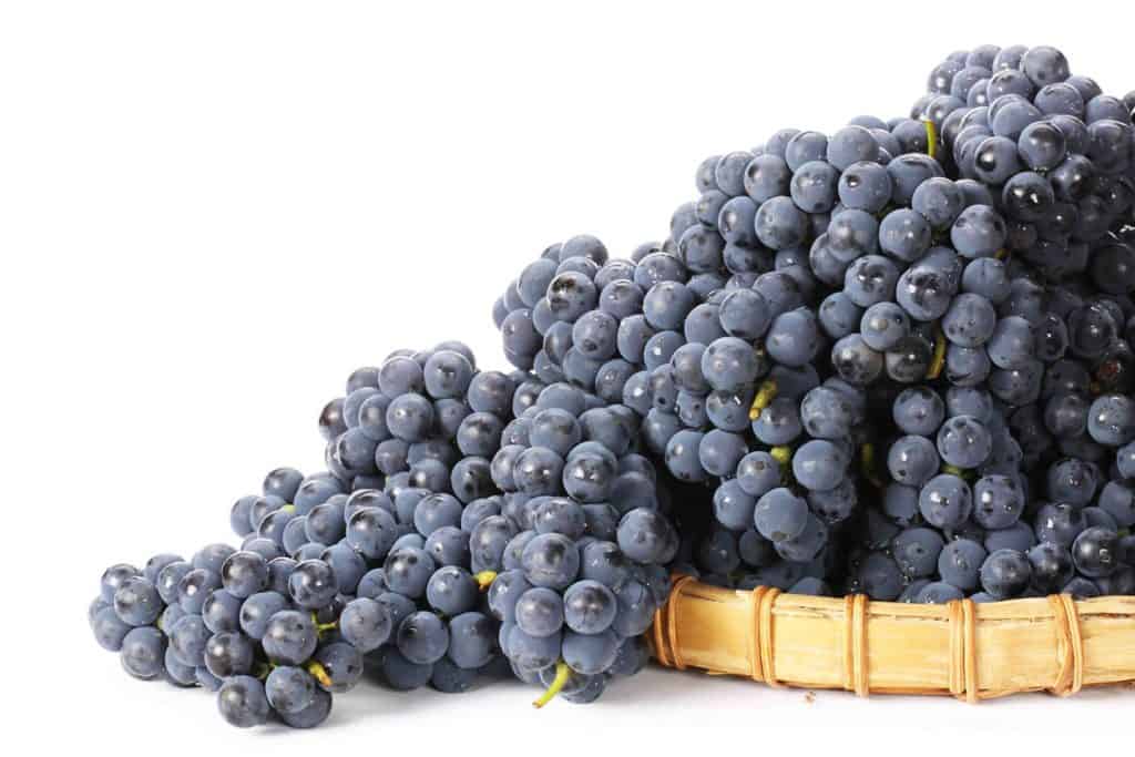 8 razones por las que comer las uvas todos los días - La Guía de las ...