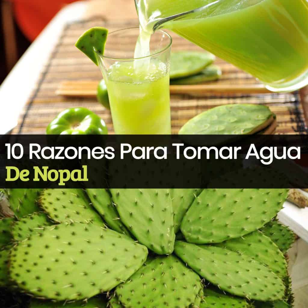 10 razones para tomar agua de nopal todos los días - La Guía de las Vitaminas